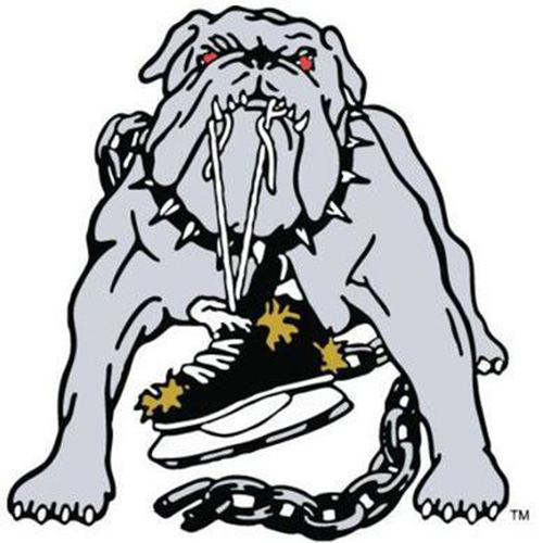 Matthew Ogonowski - Hatfield Ice Dogs U14 AA HockeyRating.com